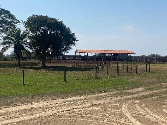 Fazenda para Venda em Corumbá/MS Área Rural de Corumbá