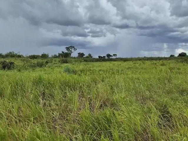 Fazenda para Venda em Corumbá/MS Área Rural de Corumbá 2 Quartos