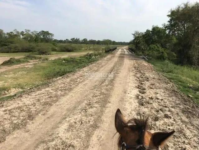 Fazenda para Venda em Corumbá/MS Área Rural de Corumbá
