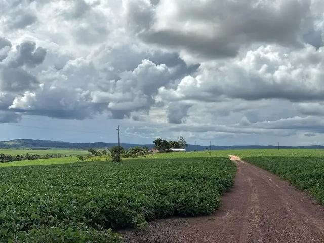 Fazenda para Venda em Corumbaíba/GO Zona Rural