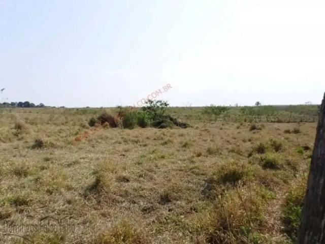 Fazenda para Venda em Cosmópolis/SP Santo Antônio