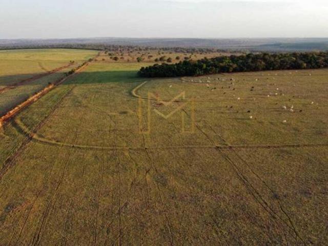 Fazenda para Venda em Costa Rica, Aldeia da Serra