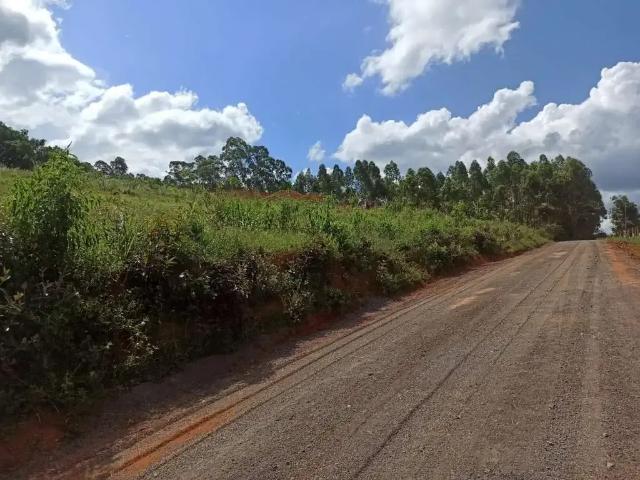 Fazenda para Venda em Catas Altas/MG Zona Rural
