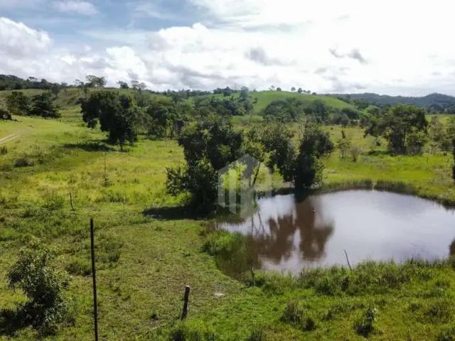 Fazenda para Venda em Catu/BA Planalto 3 Quartos