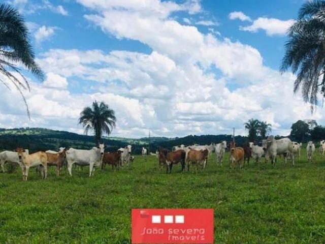 Fazenda para Venda em Caturaí