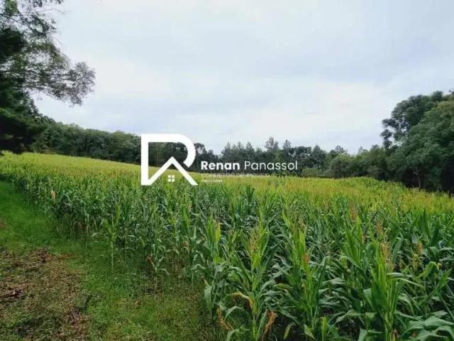 Fazenda para Venda em Caxias do Sul/RS Vila Oliva Distrito