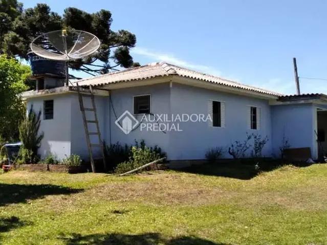 Fazenda para Venda em Caxias do Sul/RS Vila Seca