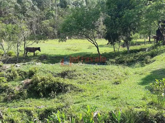 Fazenda para Venda em Caçapava/SP Pedra Branca 3 Quartos