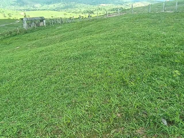 Fazenda para Venda em Caatiba/BA Centro 2 Quartos