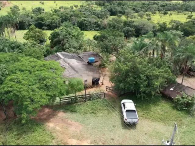 Fazenda para Venda em Cabeceira Grande/MG Zona Rural