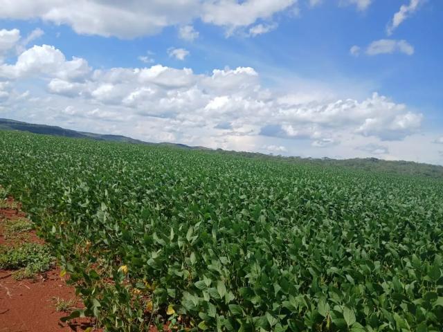 Fazenda para Venda em Cabeceiras/GO Área Rural de Cabeceiras