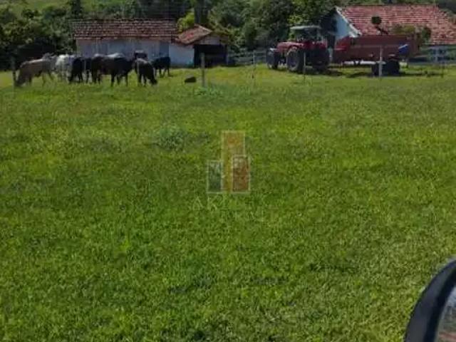 Fazenda para Venda em Cabrália Paulista/SP Área Rural de Cabrália Paulista 2 Quartos