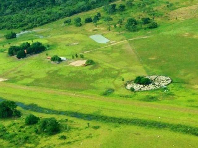 Fazenda para venda em Cáceres