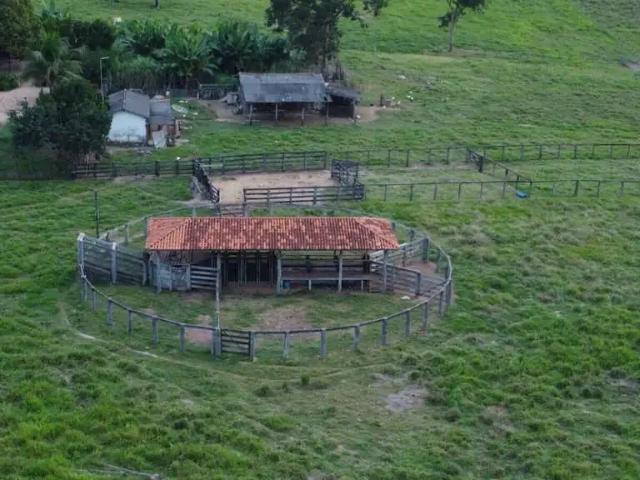 Fazenda para Venda em Cáceres/MT São Jorge 2 Quartos
