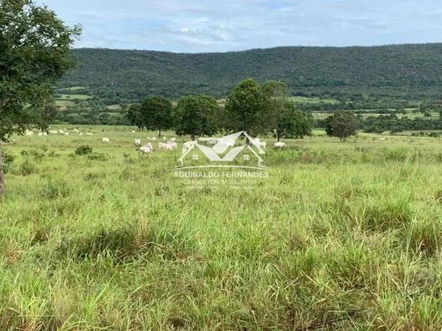 Fazenda para Venda em Cáceres/MT Zona Rural