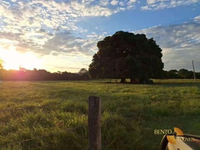 Fazenda para Venda em Cáceres/MT Zona Rural