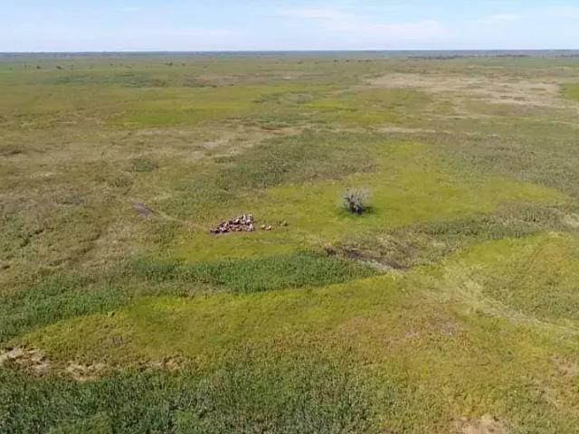 Fazenda para Venda em Cáceres/MT Centro