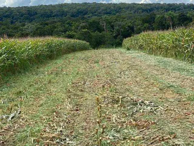 Fazenda para Venda em Cáceres/MT Zona Rural