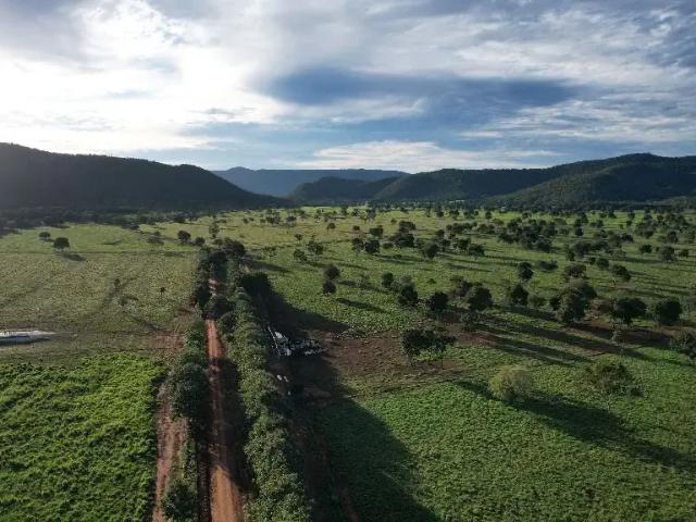 Fazenda para Venda em Cáceres/MT Zona Rural
