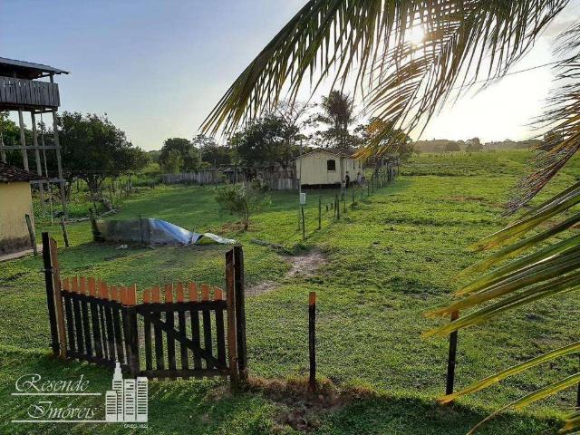 Fazenda para Venda em Cachoeira do Arari/PA Zona Rural 10 Quartos