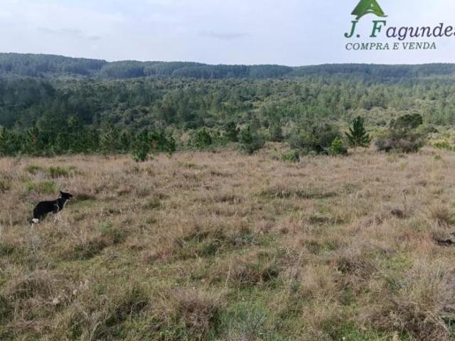 Fazenda para Venda em Cachoeira do Sul, piquiri