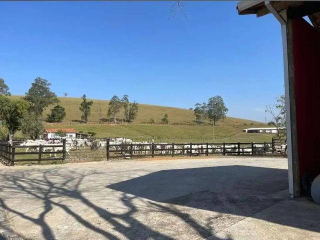 Fazenda para Venda em Cachoeira Paulista/SP Zona Rural 3 Quartos