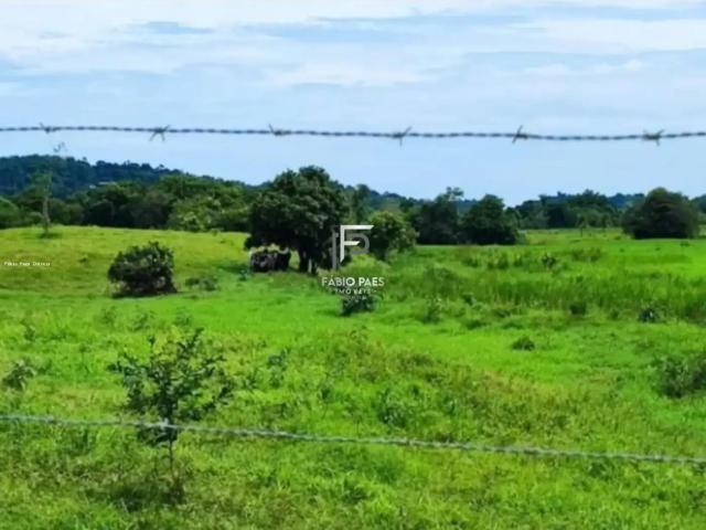 Fazenda para Venda em Cachoeiras de Macacu/RJ Zona Rural
