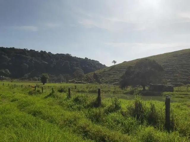 Fazenda para Venda em Cachoeiras de Macacu/RJ Zona Rural