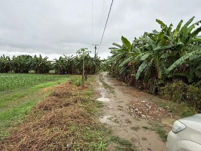 Fazenda para Venda em Cachoeiras de Macacu/RJ Zona Rural 6 Quartos