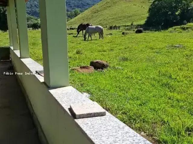 Fazenda para Venda em Cachoeiras de Macacu/RJ Japuíba 3 Quartos