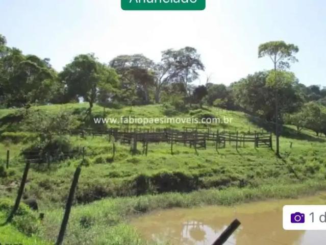Fazenda para Venda em Cachoeiras de Macacu/RJ Papucaia 2 Quartos