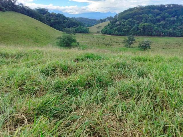 Fazenda para Venda em Cachoeiras de Macacu/RJ Quizanga