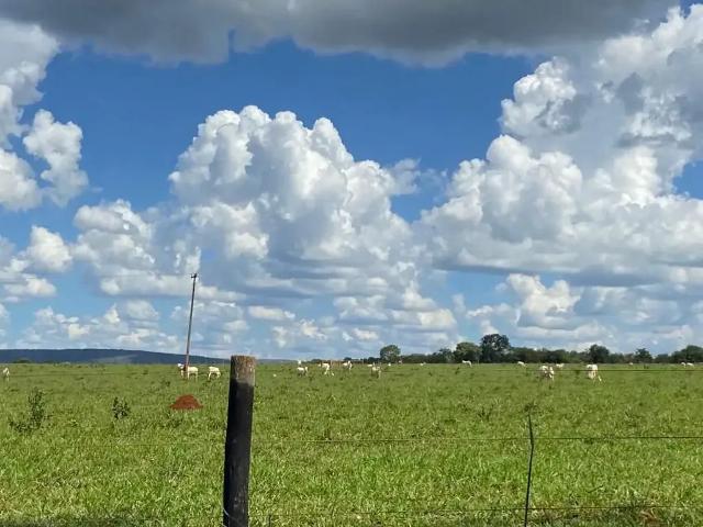 Fazenda para Venda em Caetanópolis/MG Zona Rural