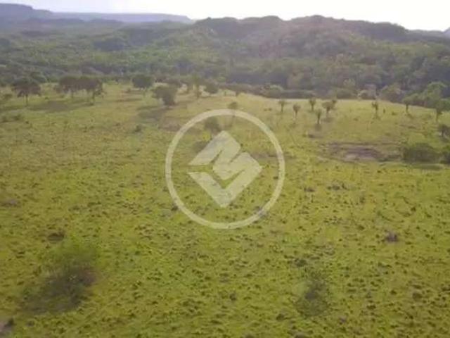 Fazenda para Venda em Caiapônia/GO Zona Rural