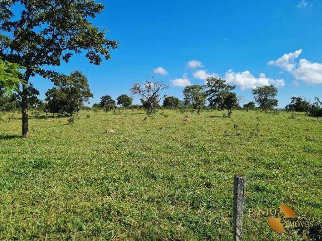 Fazenda para Venda em Caiapônia/GO Zona Rural