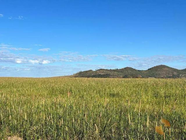 Fazenda para Venda em Caiapônia/GO Zona Rural