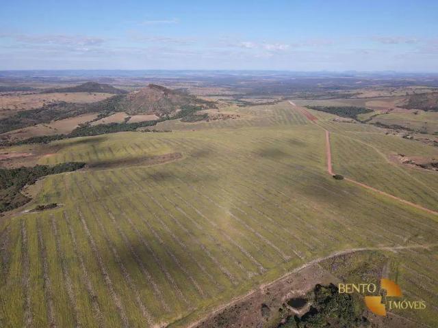 Fazenda para Venda em Caiapônia/GO Zona Rural
