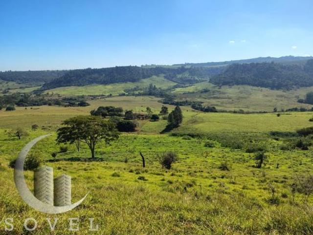 Fazenda para Venda em Cajuru, Zona rural de Cajuru, 4 dormitórios, 2 banheiros, 2 vagas