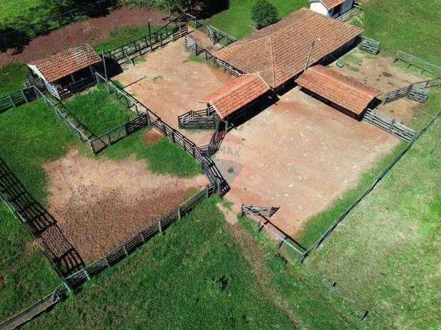 Fazenda para Venda em Cajuru/SP Centro 3 Quartos