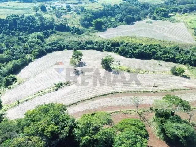 Fazenda para Venda em Cajuru/SP Centro 3 Quartos
