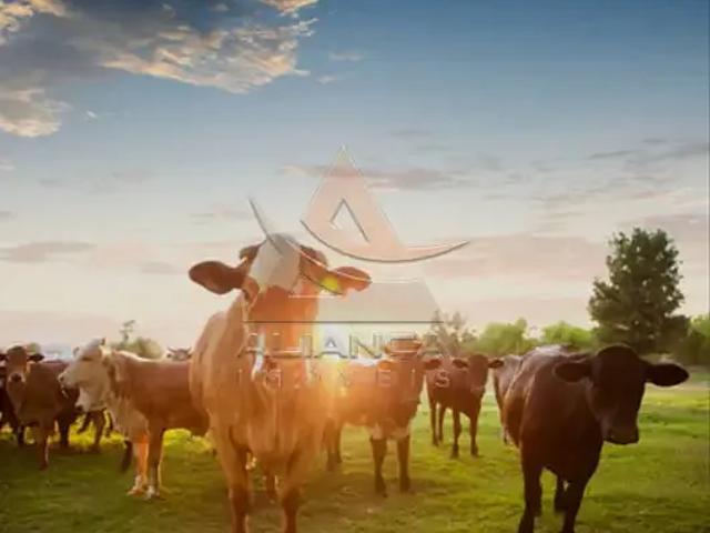 Fazenda para Venda em Cajuru/SP Zona Rural 4 Quartos