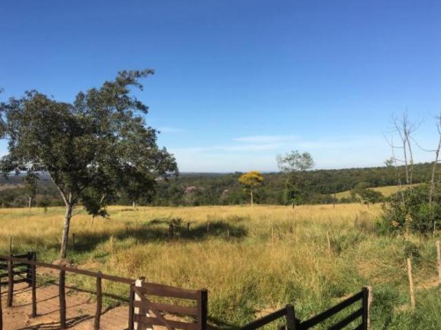 Fazenda para venda em Caldas Novas