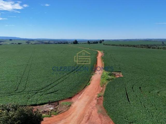 Fazenda para venda em Caldas Novas