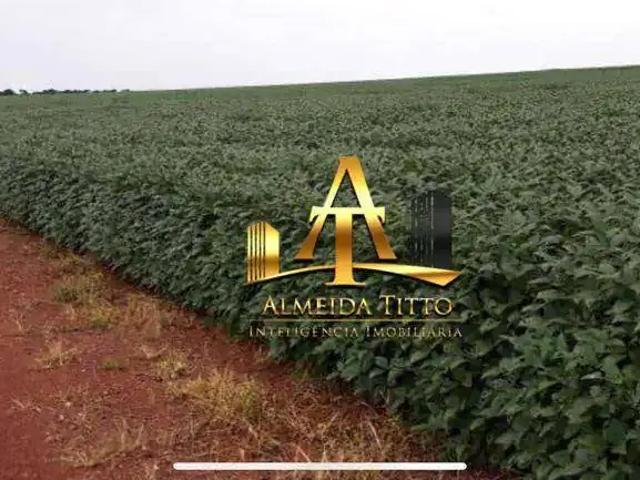Fazenda para Venda em Caldas Novas/GO Zona Rural 1 Quartos