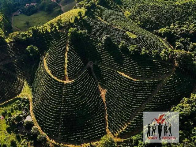 Fazenda para Venda em Caldas/MG Centro 5 Quartos