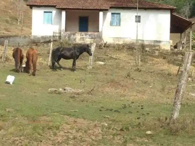 Fazenda para Venda em Caldas/MG Quinta de Caldas