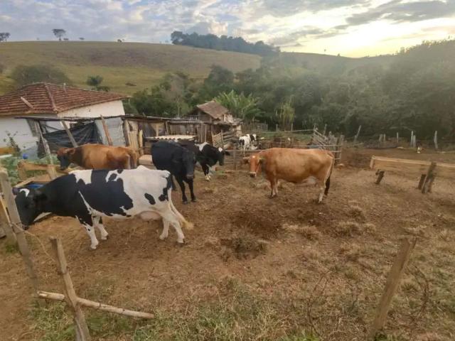 Fazenda para Venda em Caldas/MG Zona Rural