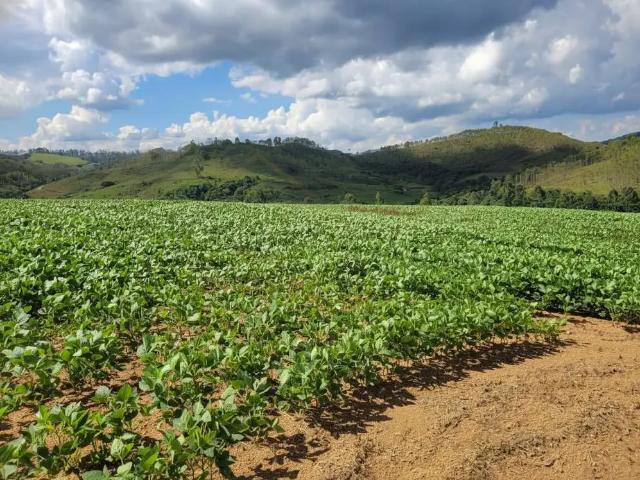Fazenda para Venda em Caldas/MG Zona Rural