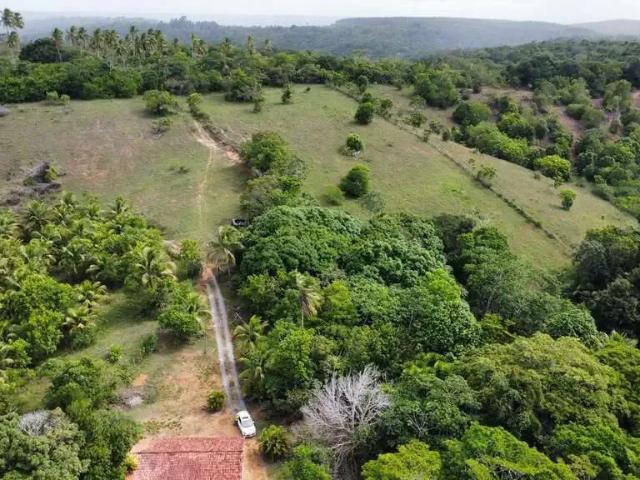Fazenda para Venda em Camaçari/BA Monte Gordo
