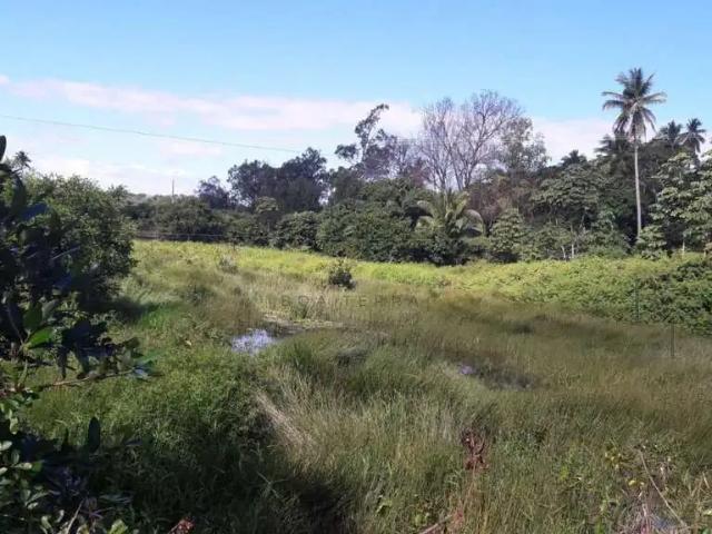 Fazenda para Venda em Camaçari/BA Monte Gordo
